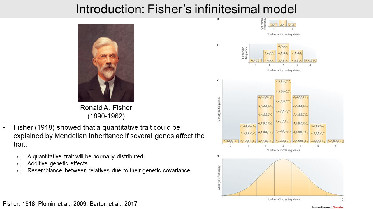 (Genetics)_Omnigenic_inheritance